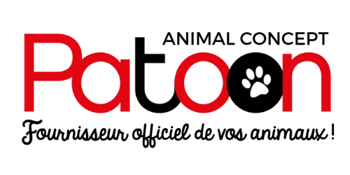 logo-patoon-transparent – Patoon